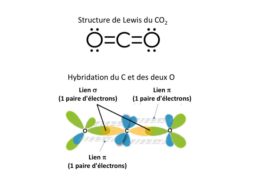 Le CO2 | Science, climat et énergie